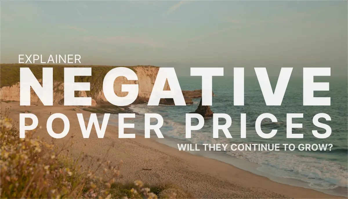 Negative prices: Why do they happen and why will they continue to grow ...