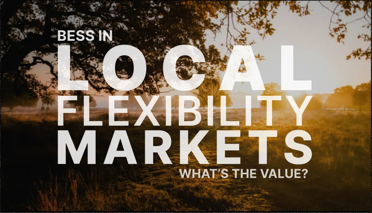 Local flexibility markets: what is the value for BESS? - Research ...