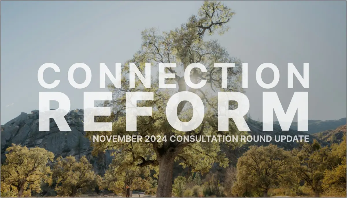 Grid connections reform November 2024: What does it mean for BESS ...