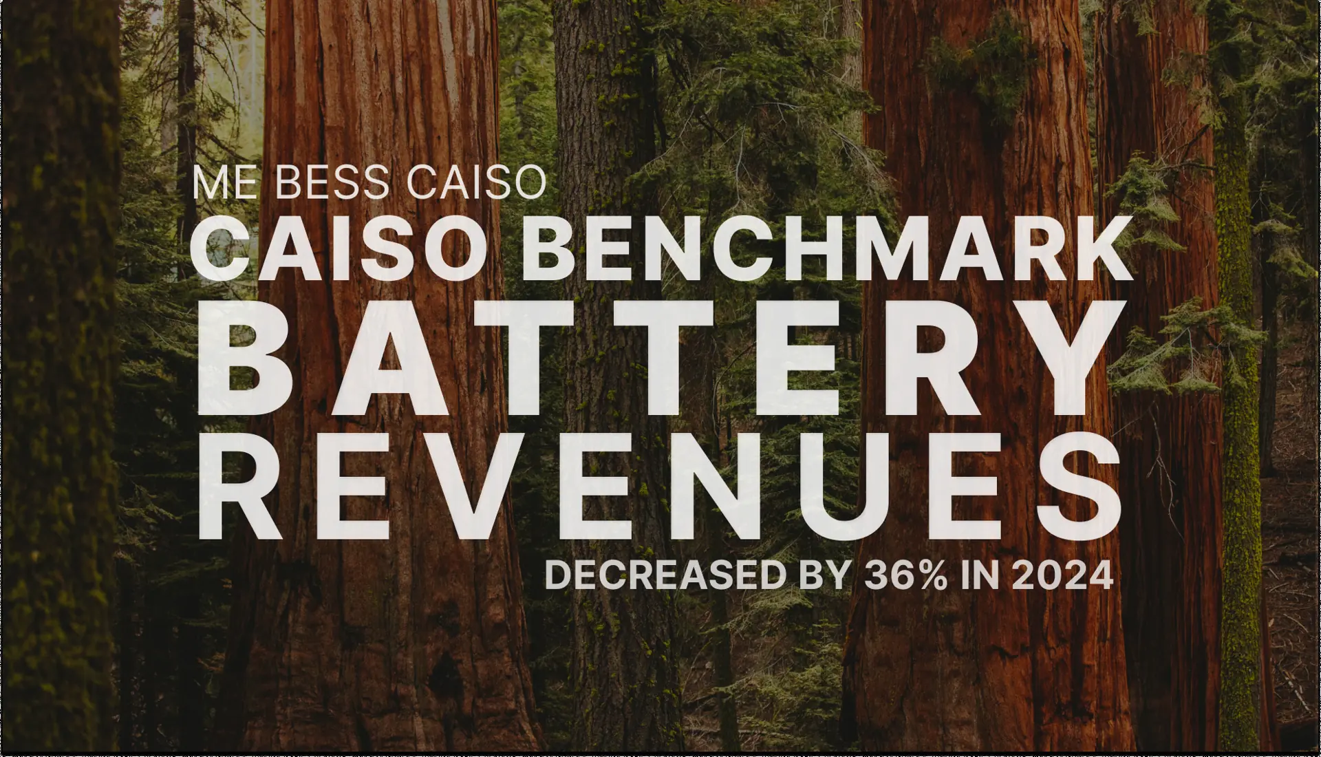 CAISO: Merchant BESS revenues fell to $51k/MW/year in 2024 - Research ...